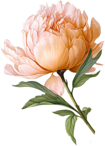 Catharina Maura – Catharina Maura's Official Website