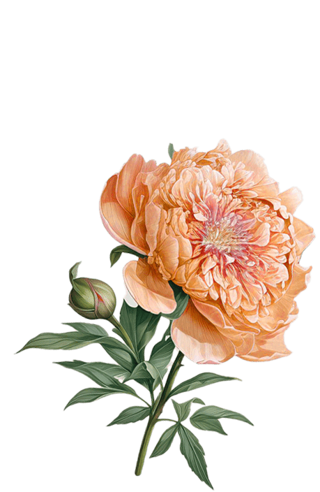 Catharina Maura – Catharina Maura's Official Website